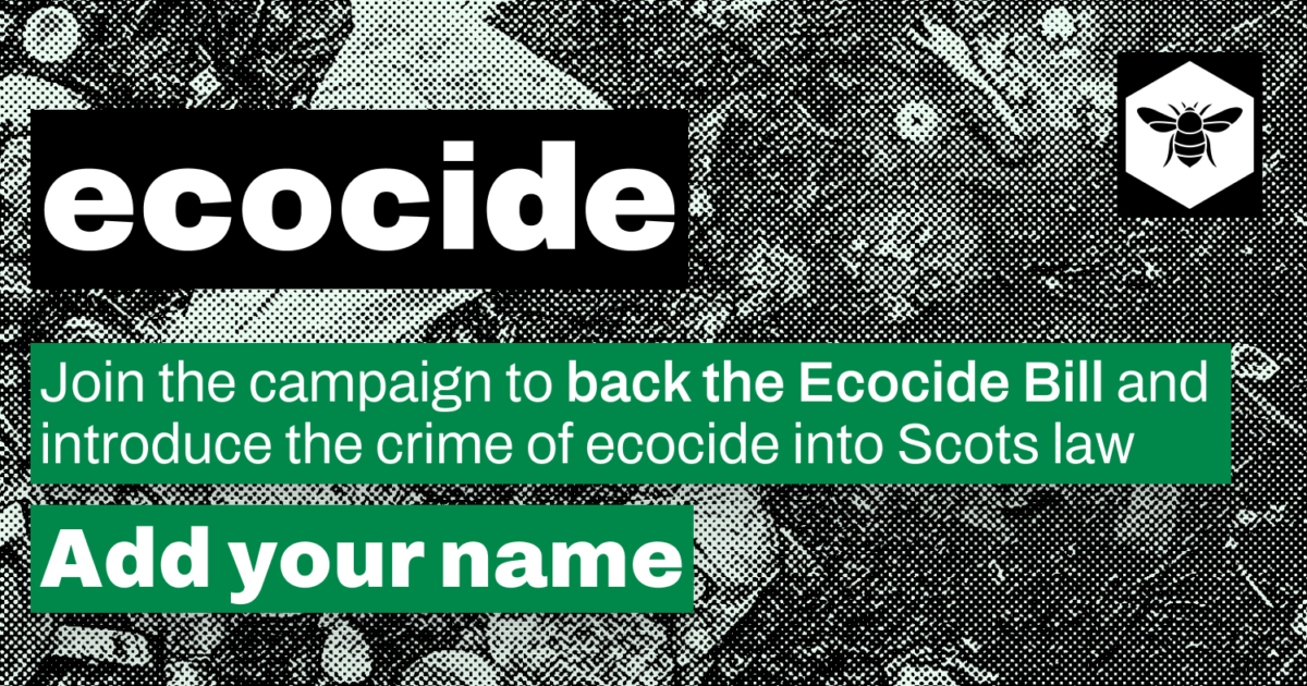 Join the campaign for the Ecocide Bill – Co-operative Party